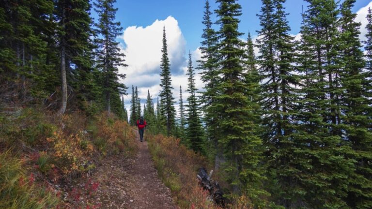 Thrills & Perils: The 10 Most Treacherous Hiking Trails in US National ...