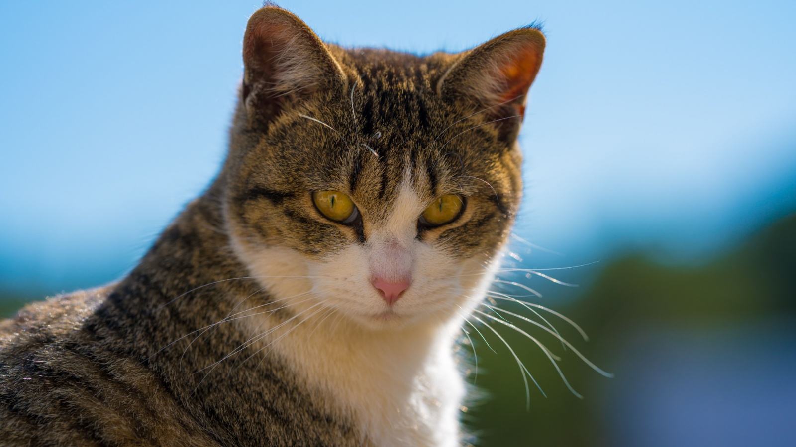 13 Strange and Mysterious Islands You Couldn't Imagine in Your Wildest ...