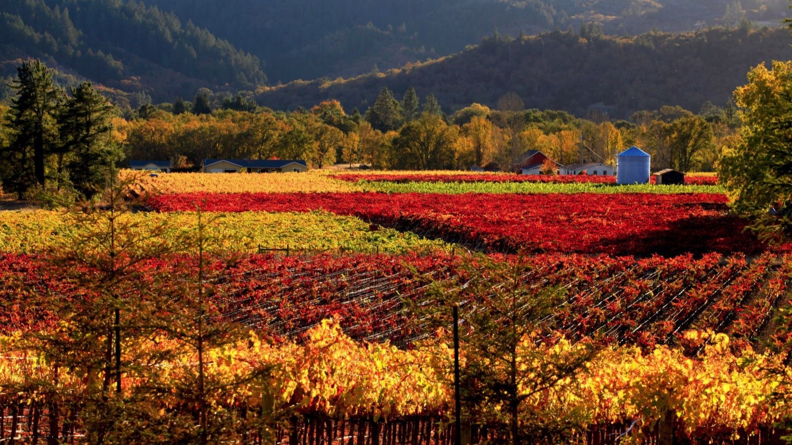 Capture the Best Fall Foliage in the United States At These 18 Amazing ...